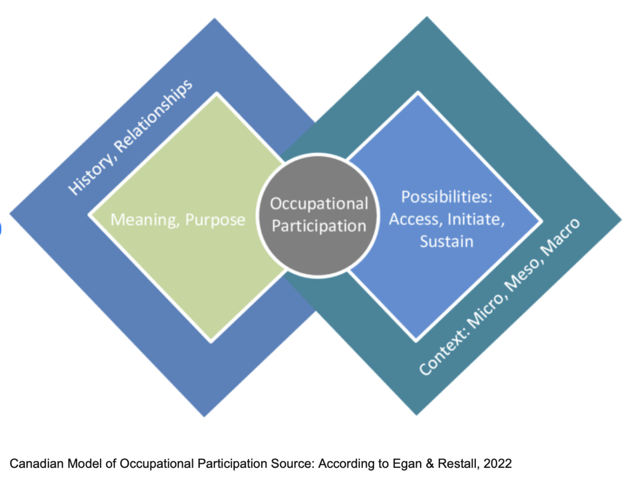 115 - The New Canadian Model of Occupational Participation (CanMOP) ft ...